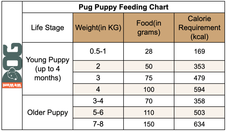 Pug Feeding Chart UK – How Much to Feed a Puppy Pug? - WeWantDogs
