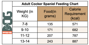 Cocker Spaniel Feeding Guide – How Much to Feed? - WeWantDogs