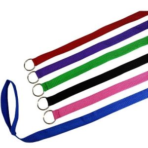 7 Best Dog Slip Leads UK – Reviews & Top Picks - WeWantDogs
