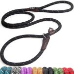 7 Best Dog Slip Leads UK – Reviews & Top Picks - WeWantDogs