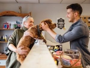 How To Sell a Dog? Is It Legal In The UK? - WeWantDogs