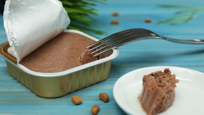 Can Dogs Eat Pate? Is Pate Safe for Dogs? - WeWantDogs