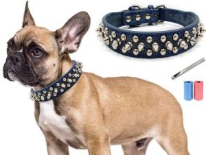 What Are Spiked Dog Collars For? Unraveling the Mystery - WeWantDogs