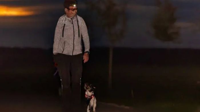 10 Best Torch For Dog Walking - WeWantDogs
