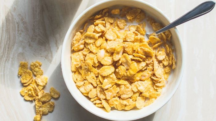 Can Dogs Eat Corn Flakes? Canine Breakfast Mystery - WeWantDogs