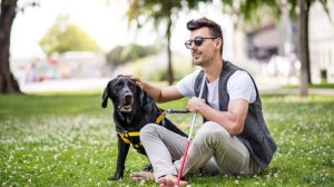 What are Guide Dogs? Assisting the Visually-Impaired - WeWantDogs