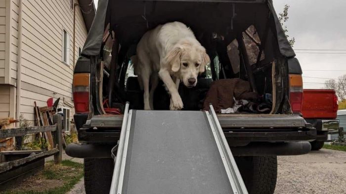 How to Make a Dog Ramp for a Car? DIY Tales - WeWantDogs