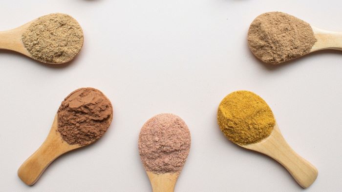 What Is ‘Ash’ in Dog Food? Explained - WeWantDogs