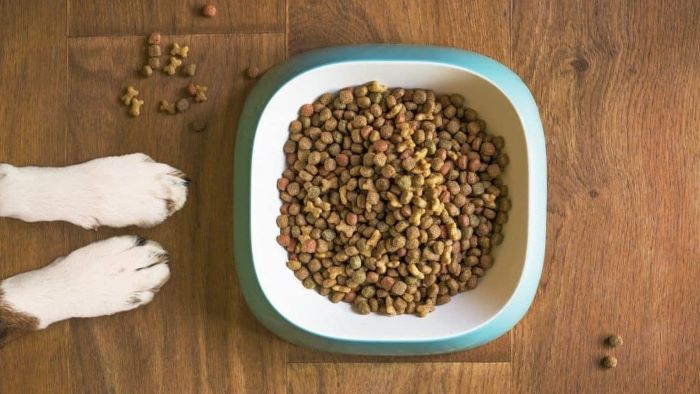 What Is ‘Ash’ in Dog Food? Explained - WeWantDogs