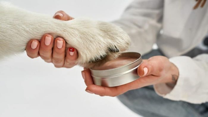 What is Dog Paw Balm? From Smoothening to Soothing - WeWantDogs