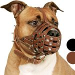The 15 Best Dog Muzzle UK for Controlling Aggressive Dogs - WeWantDogs
