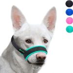 The 15 Best Dog Muzzle UK for Controlling Aggressive Dogs - WeWantDogs