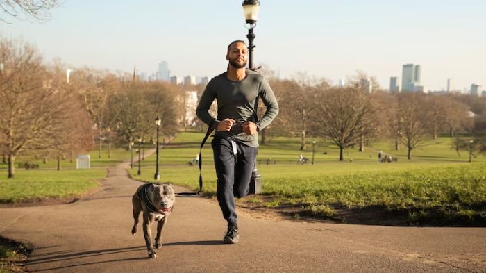 The 8 Best Gadgets for Dog Walkers to Improve Dog Walking Experience ...