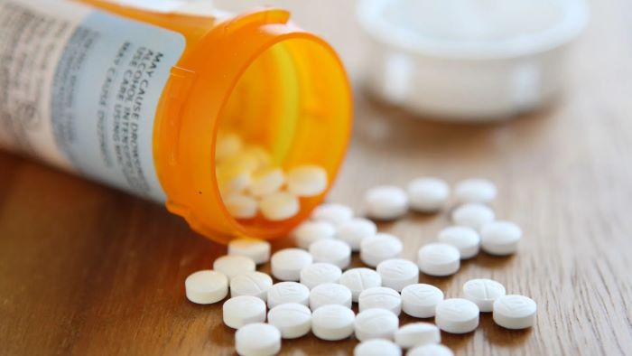 Omeprazole for Dogs: A Comprehensive Guide - WeWantDogs