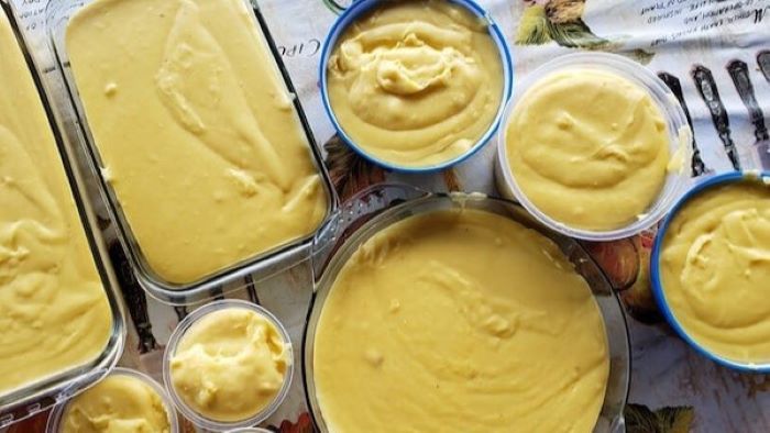 Can Dogs Eat Custard? Everything You Should Know! - WeWantDogs