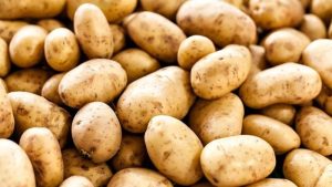 Can Dogs Eat Potatoes? A Vet’s Guide - WeWantDogs