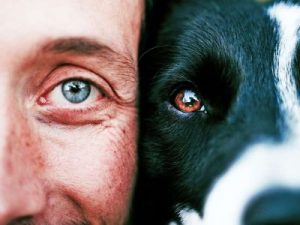 Can Dogs Look Up? Fact vs. Myth About Your Dog! - WeWantDogs