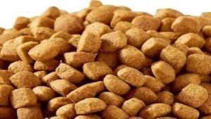 What Is Kibble Dog Food? Decoding the Dry Delight - WeWantDogs