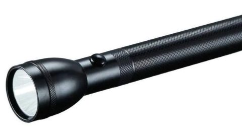 10 Best Torch For Dog Walking - WeWantDogs