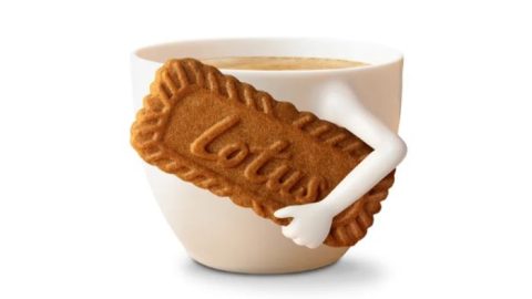 Can Dogs Eat Biscoff? Read Before You Feed! - WeWantDogs